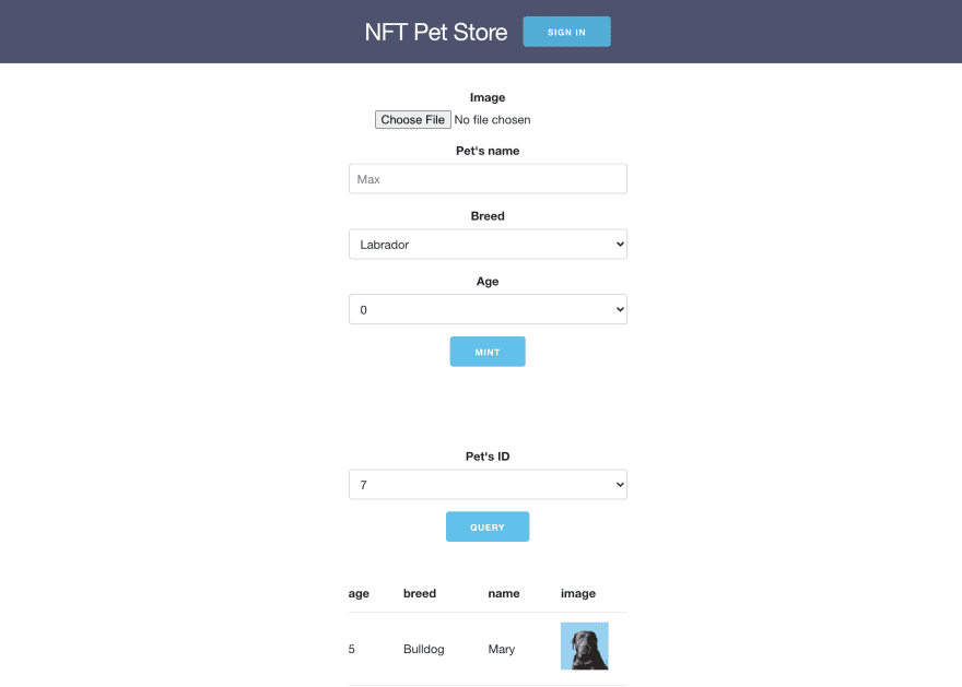 Building a Flow NFT Pet Store : Part 1 | Filecoin Foundation